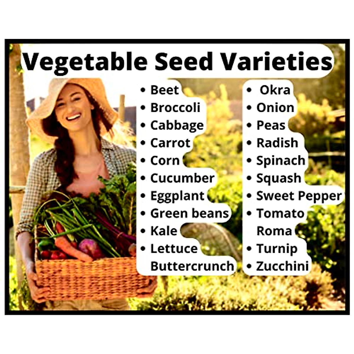 20 Vegetable & Fruit Seeds for Planting Your Outdoor & Indoor Home Seed Garden, Survival Gear Kit Includes 3200 Seeds, A Growing Guide & Mylar Package Gardening Heirloom Non-GMO Veggie Seed B&KM Farm
