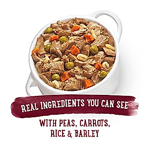 Purina Beneful High Protein, Gravy Wet Dog Food, Prepared Meals Beef Stew - (8) 10 oz. Tubs