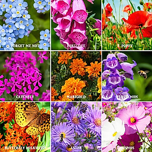 The Old Farmer's Almanac Premium Wildflower Seeds (23 Variety Pollinator Mix) - Non-GMO, Open Pollinated - Columbine Cosmos Foxglove Larkspur Poppy Snapdragon Zinnia... Attracts Butterflies Bees Birds