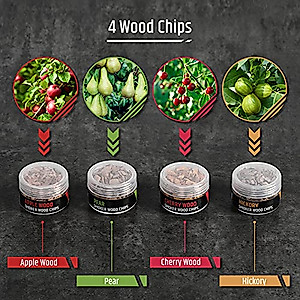 Razorri Smoking Gun Smoke Infuser - Includes 4 Wood Chips, Stand Holder, Hose - Handheld & Countertop Electric Smoker Machine for Classy Smoke, Infused Cocktails, Wine, Cheese, Meats & More