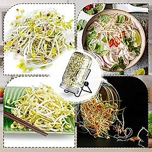 meekoo 4 Sprouting Jar Kit Wide Mouth Mason Jars with Stainless Steel Screen Sprout Lids and Stand Microgreens Growing Kit Seed Germination Kit Seed Sprouter Set for Growing Broccoli Alfalfa Mung Bean