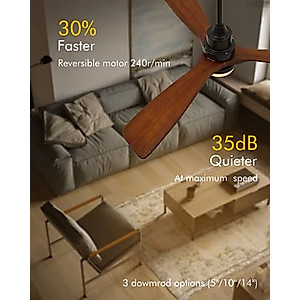 Chriari Ceiling Fans with Lights, 3 Wood Fan Blades, 52" Black Modern Ceiling Fan with Remote Control, Noiseless Reversible DC Motor for Bedroom/Living Room/Study/Patio