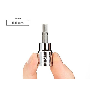 TEKTON 3/8 Inch Drive x 5 mm Hex Bit Socket | SHB13204