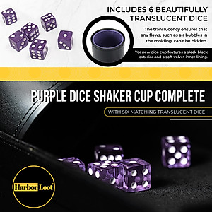 Harbor Loot Purple Dice Shaker Cup Complete with Matching Dice Set of Six Purple Translucent Dice
