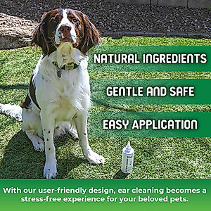 HALLI Jamaican Inspired Plant-Based Dog Ear Cleaner with Coconut Oil and Aloe Vera - Wax-Dissolving, Gentle Formula, Mild Scent - Large 8 oz Bottle