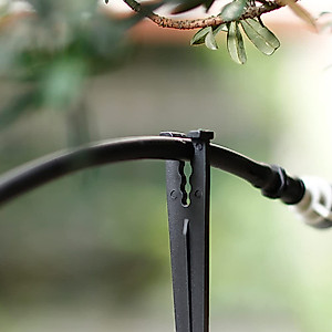 cozyou 50 Pcs Irrigation Support Stakes for 1/4-Inch Drip Tubing