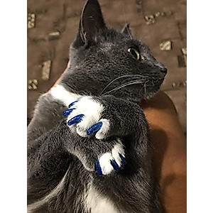 100pcs Cat Nail Caps/Tips YMCCOOL Pet Cat Kitty Soft Claws Covers Control Paws of 10 Multi-Colors Nails Caps and 5Pcs Adhesive Glue 5 Applicator with Instruction