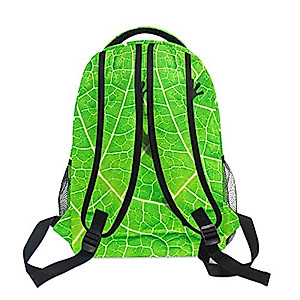 ZZKKO Animal Frog Tree Leaf Boys Girls School Computer Backpacks Book Bag Travel Hiking Camping Daypack