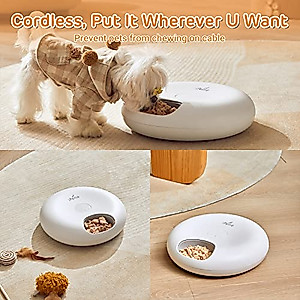 iPettie Donuts Frost 6 Meal Cordless Automatic Pet Feeder, Dry & Wet Food Automatic Cat Feeder with Two Ice Packs, Rechargeable Massive Battery, Programmable Timer, Holds 6 x ½ lb. of Food