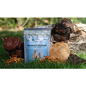 OPTIMIZED RECOVERY Lion's Mane & Cordyceps >25% & >35% β-glucans 100% Mushrooms Fruiting bodies Extracts Blend for Dogs & Cats. Recovery Aid, Healing & Senior Pet Health Formula. 250 SERVINGS for 25lb