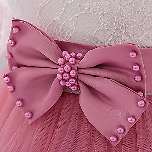6-24 Months Baby Girl Big Bowknot Lace Flower Wedding Ball Gown Toddler Princess Dresses Pink 6-12 Months