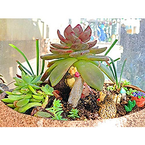 MUAMAX Miniatures Hedgehog Figurines Fairy Garden Hedgehog Accessories Suppliers Mini Hedgehog Animals Micro Landscape Bonsai Craft Decor Miniature Garden Ornaments