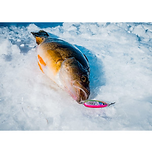 Northland Fishing Tackle Glass Buck-Shot Ice Fishing Jigging Spoon, Glo White, 3/32 Oz for Walleye, Perch, and Crappie