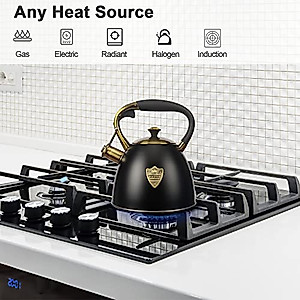 Tea Kettle -2.9 Quart Tea Kettles Stovetop Whistling Teapot Stainless Steel Tea Pots for Stove Top Whistle Tea Pot
