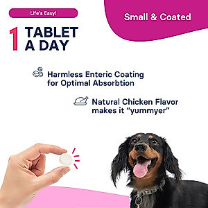 SAM-e Liver and Brain Health Supplement for Medium and Large Dogs - with S-aDENOSYLmethionine (Same), 60 Coated Tablets