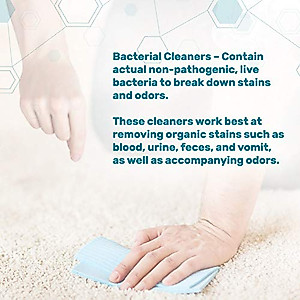 Dr. Mercola, Pet Stain and Odor Remover, 24 FL. oz (1.5 PT) (709 mL), Safe for Pets and Children