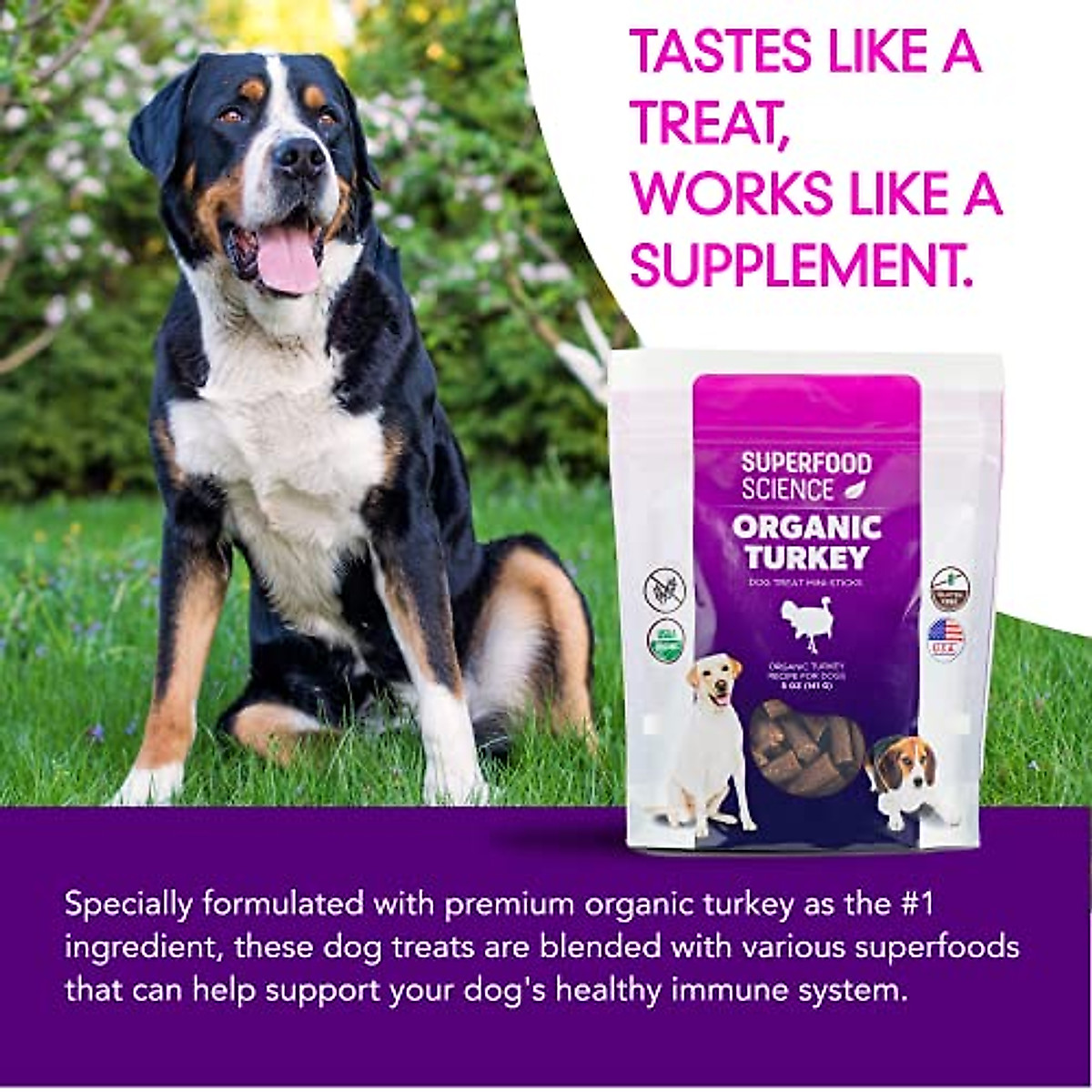 Superfood Science All Natural Organic Turkey Dog Treats with Healthy Human Grade Ingredients, Made in USA, Gluten-Free Training & Rewarding Snacks for Small, Medium, and Large Dogs, 5 Oz, Mini Sticks