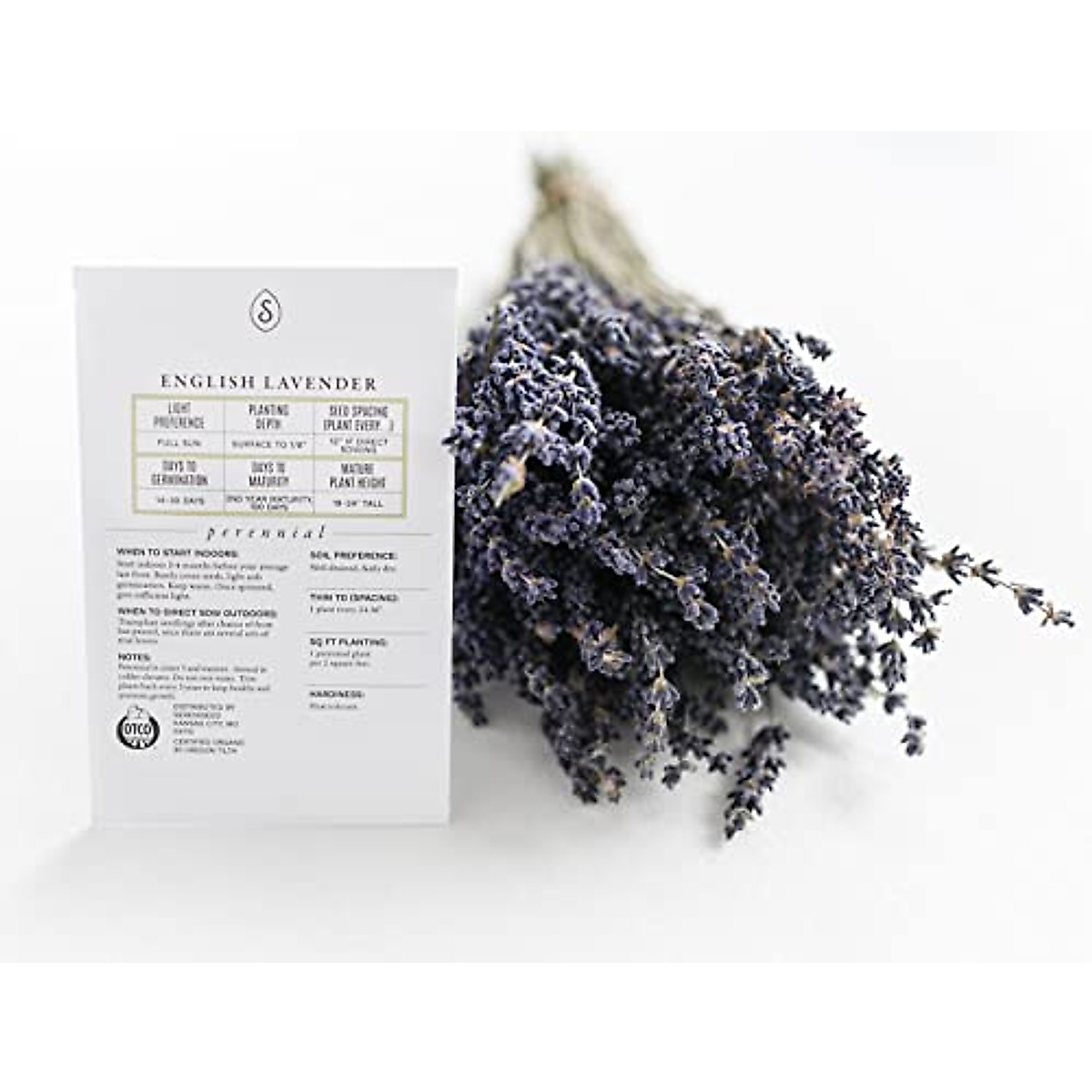 Sereniseed Certified Organic English Lavender Seeds (200 Seeds) – 100% Non GMO, Open Pollinated – Grow Guide