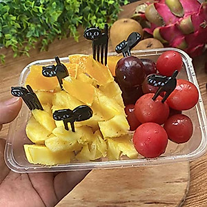 HENWAFX Animal Food Picks for Kids, Cute Cartoon Animal Fruit Food Toothpicks,Reusable Lunch Picks for Kids Bento, Lunch Bento Box Picks for Toddler,kids lunch accessories (animal)