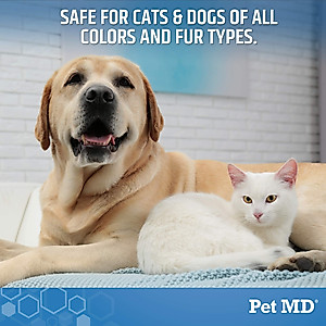 Pet MD Bright Whitening Shampoo for Dogs & Cats - Tearless Protein Enriched Shampoo w/Oatmeal for Brightening White & Light Colored Coats - Cleans, Adds Luster, & Controls Matting & Tangling - 12 oz