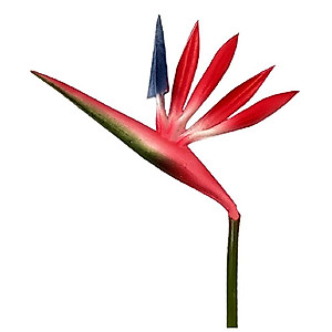 8 Pack 21-1/2 Inch Artificial Flowers Bird of Paradise,Green Plant for Home Garden Decoration Office Verandah Wedding Decorations (Red)