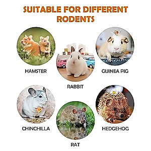 Sofier 14Pcs Timothy Hay Treats Rabbit Toys Bunny Toys Guinea Pig Toys Natural Chews for Teeth Handmade Rabbit Chews and Treats Chinchilla Rat Hamster Gerbil