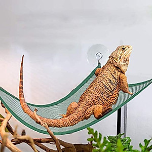 Lucky Interests 6 pcs Reptile Hammock Lounger, Lizard Hammock with Strong Suction Cup Triangle Bearded Dragon Lounger for Iguanas Geckos Lizards Anoles Snakes with 6 Reptile Food Bowl (Green, Black)