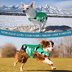MORVIGIVE Camo Winter Dog Coat, Reversible Waterproof Dog Jacket Dog Cold Weather Coats, Warm Dog Puffer Jacket Reflective Dog Coat with Harness Built in for Small Medium Large Dogs