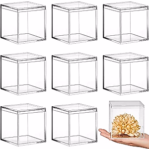 8 Pieces Clear Acrylic Plastic Jewelry Box Mini Storage Box Mini Cube Containers with Lids Storage Candy Box for Candy Pill and Tiny Jewelry (Square, 3.9 x 3.9 x 3.9 Inch)