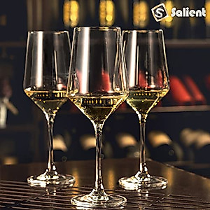 S SALIENT Wine Glasses Set of 6,Long Stem White/Red Wine glasses,14oz Hand Blown Premium Crystal Wine Glass,Gift Packing Burgundy Glasses