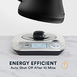 OVALWARE Electric Pour Over Gooseneck Kettle 0.8L, Variable Temperature Control, Quick Boil, Smart Automatic Shutoff, Stainless Steel, Fast Hot Water Boiler, Electronic Pot Heater, Coffee/Tea Maker