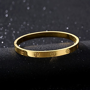 YCSLYW Women's Stainless Steel Bracelet Jewelry Crystal Bracelet With Cube Zircon Hinge Jewelry oval Bangle Christmas Valentines Birthday Gifts for Women