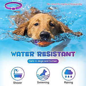 3 Pack Calming Collar for Dogs, Pheromone Collar for Dog Anxiety Relief, Adjustable Dogs Calm Collar Reduce Separation Anxiety Stress, Anti-Loose Dog Collar Fit Medium Large Puppy