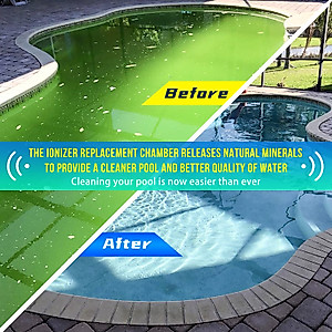 Sunluway 4CH4002-R Swimming Pool Cleaner Replacement Chamber, for Hybrid Pool Treatment System