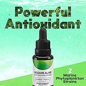 Chlorophyll Algae Supplement, Chlorophyll Marine Phytoplankton by Activation Products 1 Month Supply | Oil Memory and Focus Mineral Trace Supplements - Microalgae Oil for Energy and Stress - 30 ml
