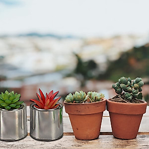 Esamploe 8 Pack Empty Metal Paint Cans with Lids(1/2 Pint Size),Paint Storage Containers for Leftover Paint,1 Cup Capacity Touch Up Paint Containers,Tiny Empty Unlined Pint Paint Pails