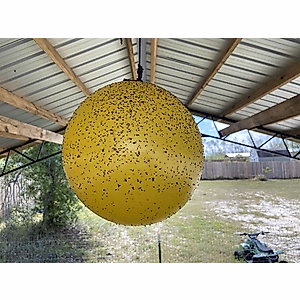 Gnat Ball - 4 Pack Replacement - Gnats, House Fly, No-See-Um, aphids whiteflies, and Love Bug Trap