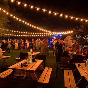 Qixivcom 2W G40 LED Filament Light Bulb Dimmable(5-Pack)- E26 Mini Led Bulb 120V 20W Equivalent LED Edison Light Bulb 2200K Warm White Decorative Lights Bulb Amber Glass Outdoor Lighting for Bar Home