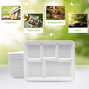 Three Leaf 5 COMPARTMENT BAGASSE (SCHOOL) TRAY 50 Ct. Heavy-Duty- Super Strong- Natural- Eco-Friendly Disposable Bagasse Plates, 100% Biodegradable 5 Compartment meal Plates
