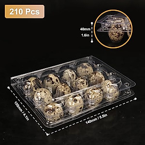 210 Pack Quail Egg Cartons, Clear Plastic Quail Egg Trays, Holds up to 12 Quail Eggs Securely - Your Ultimate Small Eggs Carton Holders for Bulk Storage and Display by KUKLIPJIM