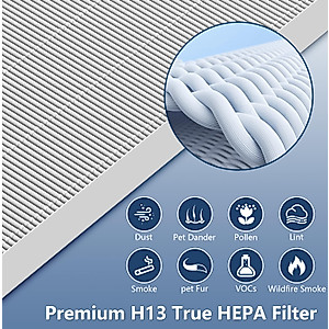 115115 Replacement Filter A Size 21 Compatible with Winix PlasmaWave 5300-2, C535, P300, 6300-2, 5300, 9000 Air Purifier, 2 True HEPA Filter 8 Carbon Pre-Filters