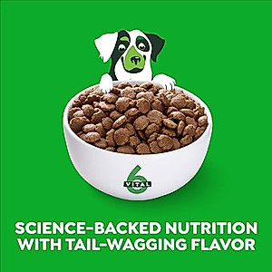 Greenies Smart Essentials Sensitive Digestion & Skin Adult Dry Dog Food Real Lamb & Brown Rice Recipe, 6 lb. Bag