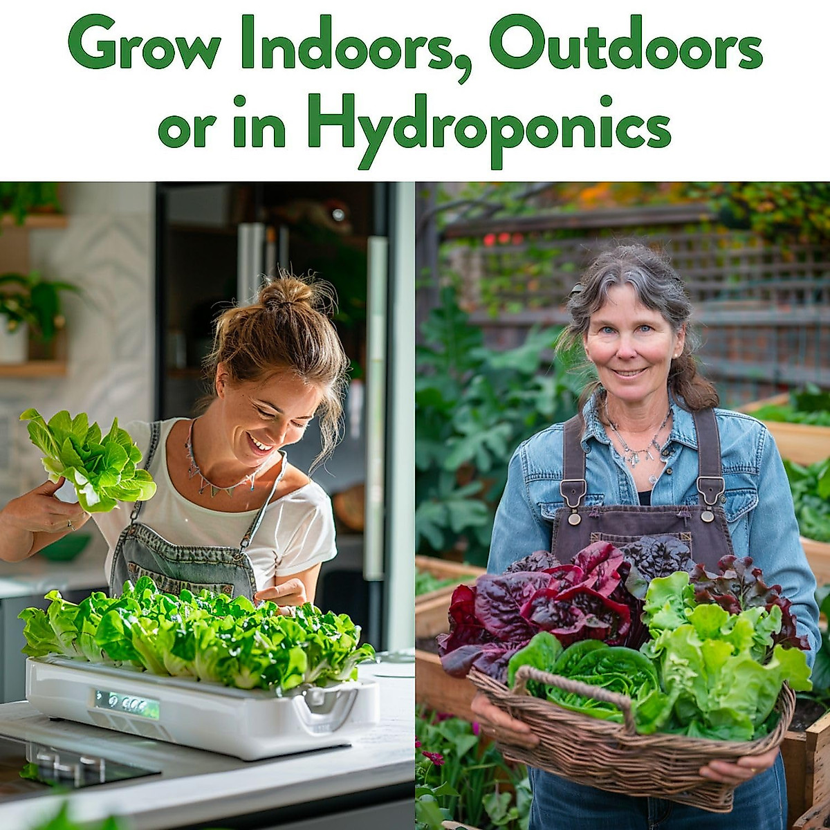 5,000+ Heirloom Lettuce Seeds for Planting Indoors - 95% Germination, Non-GMO Greens Seeds, (10 Varieties): Kale, Spinach, Butter, Romaine, Arugula & More - Lettuce Seeds for Hydroponic Home Garden