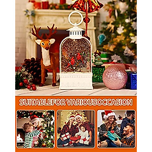 Christmas Cardinal Snow Globes,Musical Lighted with 6H Timer Swirling Glitter, Christmas Decoration Snow Globe Lantern, Red Bird Cardinal Gifts Christmas Decoration Indoor for Home