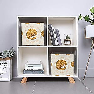 Hibernating Pangolins Collapsible Storage Bins Cubes Organizer Trendy Fabric Storage Boxes Inserts Cube Drawers 11 Inch