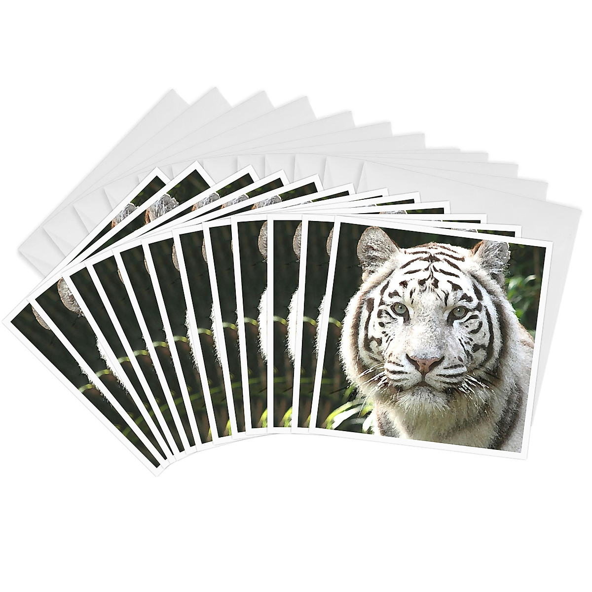 3dRose White Tiger 6 x 6 Inches Greeting Cards, Set of 12 (gc_4845_2)