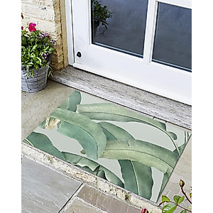 Front Door Mat, Non - Slip Absorbent Door Entry Mats, Doormats Indoor/Outdoor Entrance Small Rugs, Amazing Exotic Rainforest Green Banana Palm Leaves Doormat - Floor Mats for Home 16x24 Inch