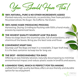 FreshDrinkUS, 60 Premium - The Top Soursop Graviola Leaf Tea Bags, 100% Pure & Natural from Soursop Leaves, Handmade, Made With Natural Materials-Corn Fiber Tea Bag, Sugar/Caffeine/Gluten Free, Hoja Guanabana Tea