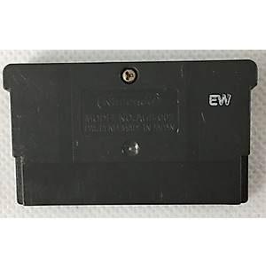 Mega Man Battle Network 6: Cybeast Falzar