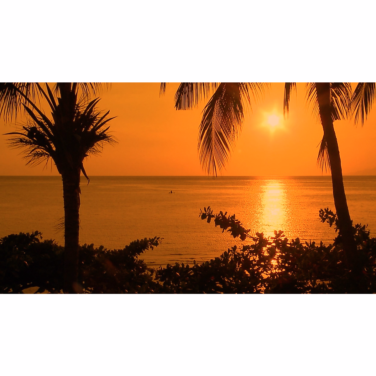 Relaxation DVD - Paradise Beaches Shot in HD with Nature Sounds